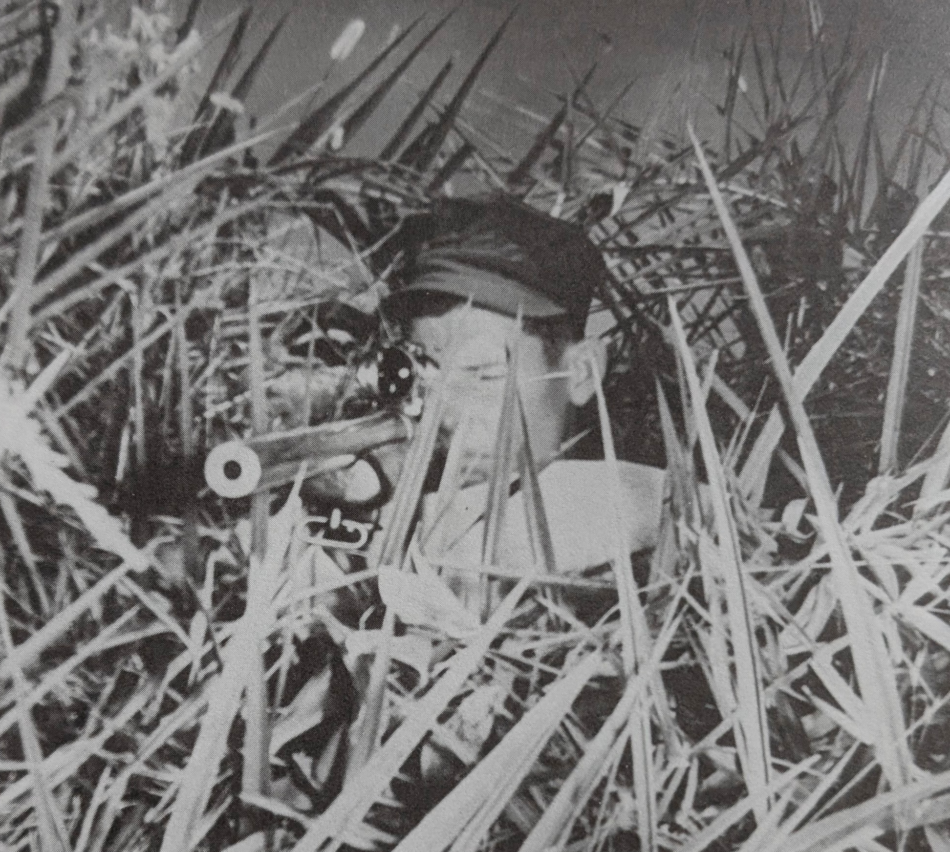 The USMC Winchester Model 70 – USMCWEAPONRY.COM